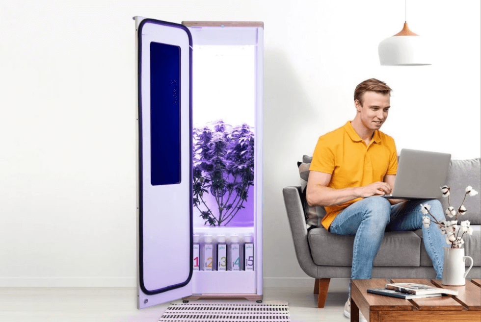 Grow your plants properly with the Grobo Premium smart indoor garden system