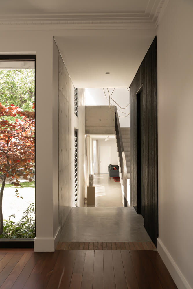 The Shou Sugi Ban House Renovation Keeps A Mature Tree Intact