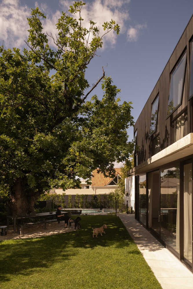 The Shou Sugi Ban House Renovation Keeps A Mature Tree Intact